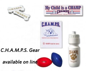 C.H.A.M.P.S. - Georgia Sheriffs' Association